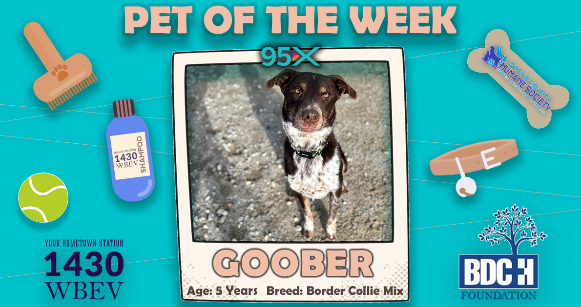 Goober | Daily Dodge