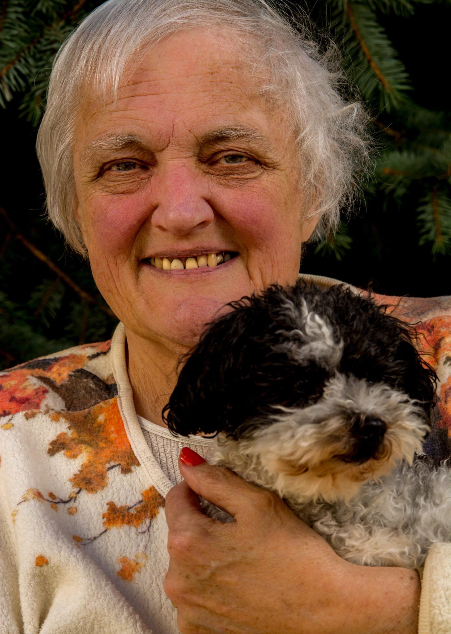 Sally A. Steffen | Daily Dodge