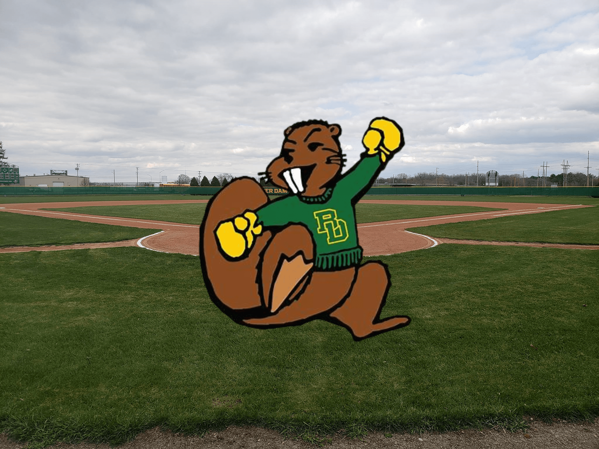 Beaver Dam Softball Set To Open Season | Daily Dodge
