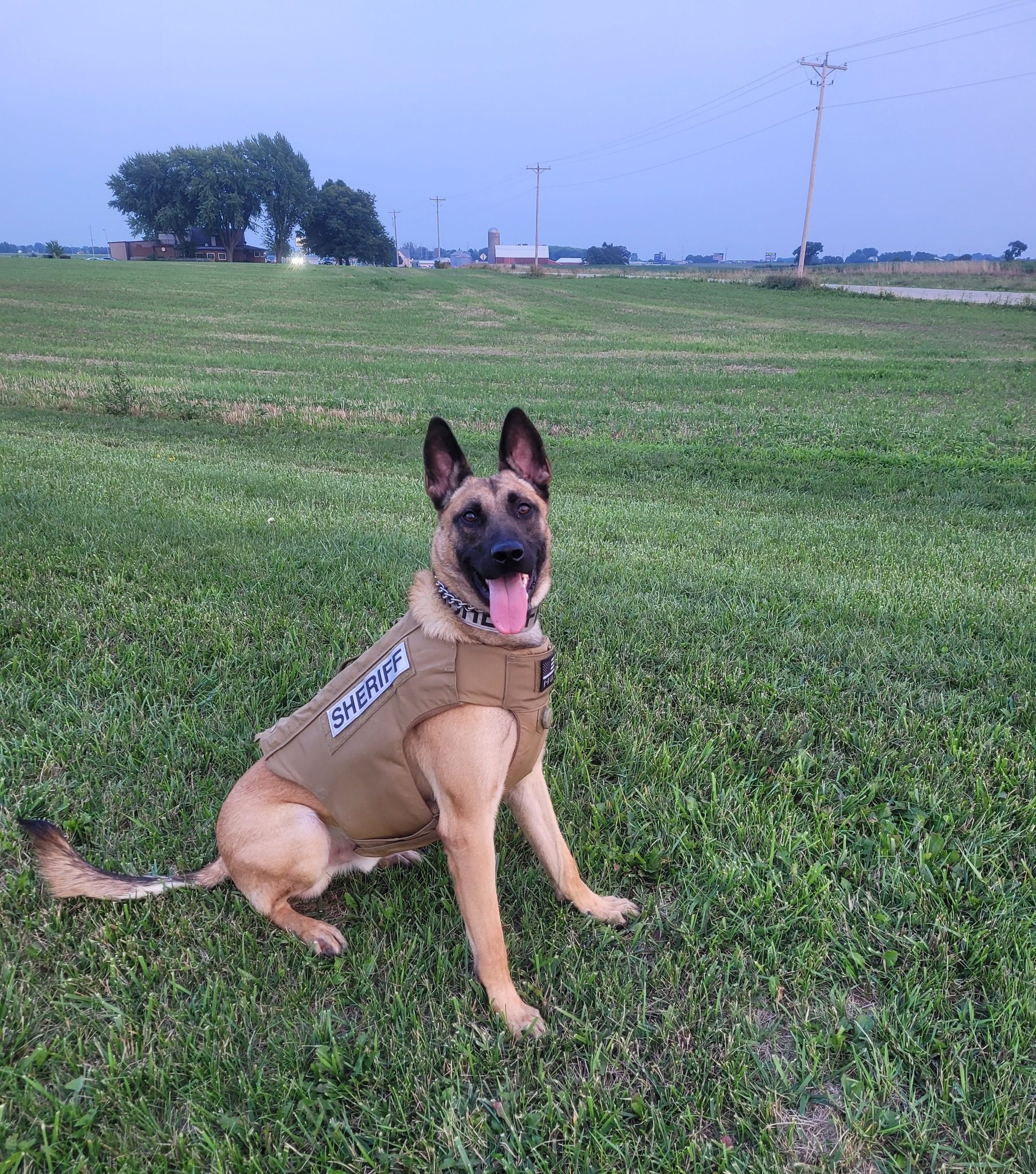 DCSO Receives Ballistic Patrol Vest Donation For K9 Cade | Daily Dodge