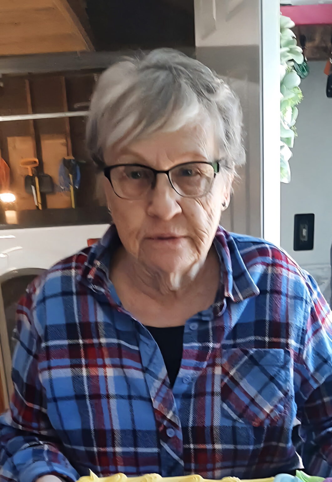 Helen A. Adamzak | Daily Dodge